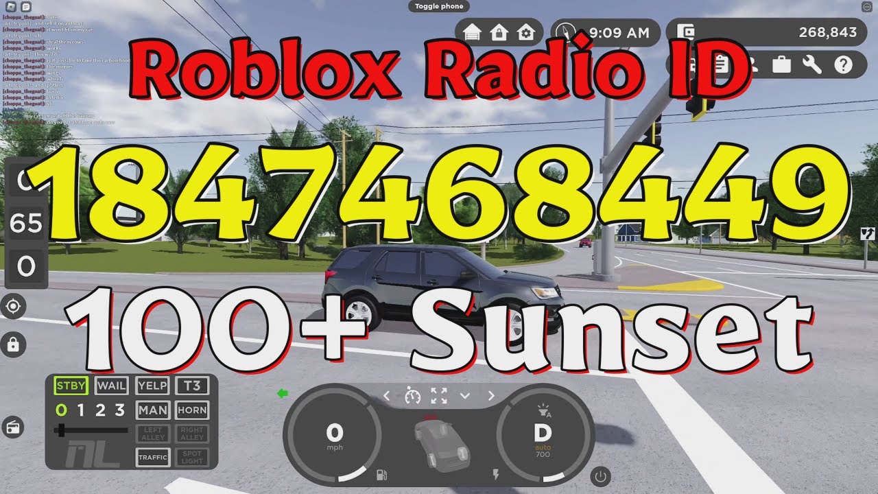 Sunset Roblox Radio Codes/IDs - YouTube