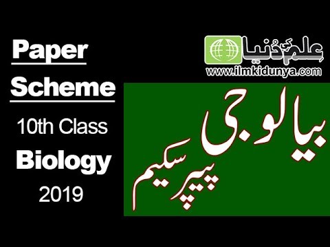 10th Class Biology Paper Scheme | Matric Biology Punjab Board 2019 ...