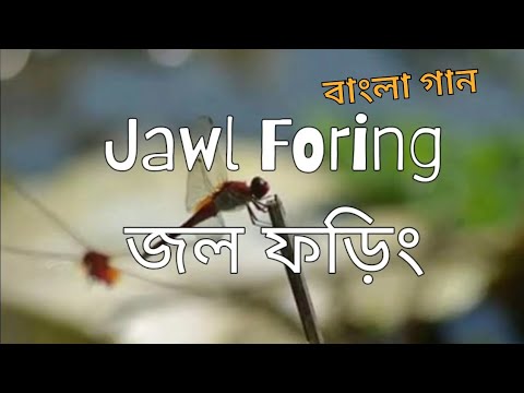 জল ফড়িং বাংলা গান || Jawl Foring Bangla Sad Song || Amar pothchola ...