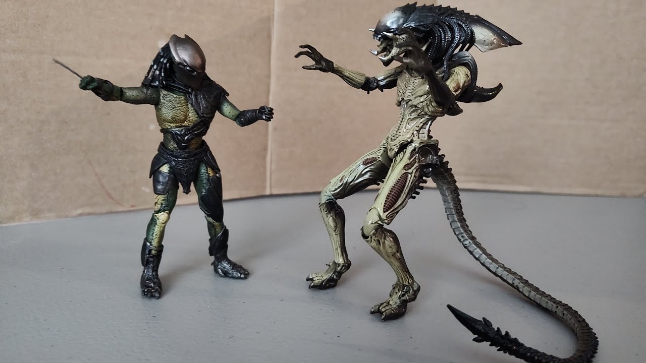 ALIEN VS PREDATOR: PREDALIEN VS FALCONER PREDATOR - YouTube