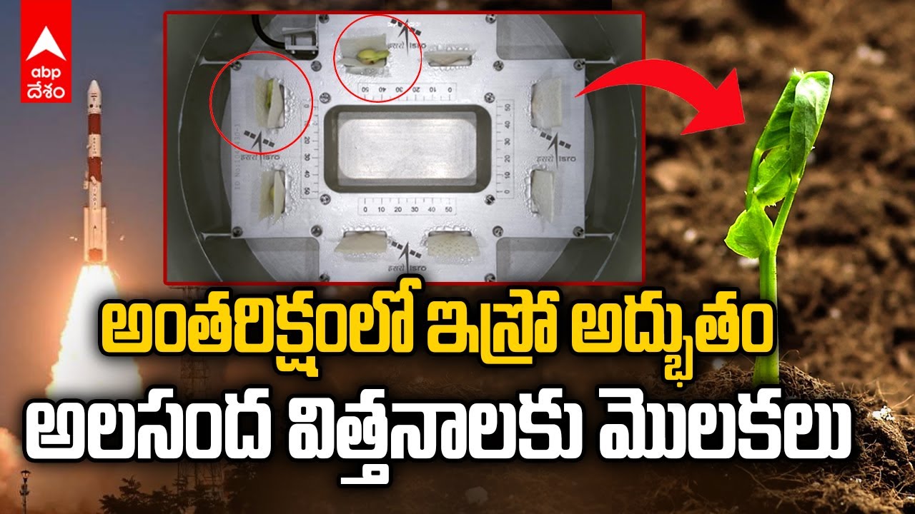 ISRO CROPS Cowpea Sprouted in Space | స్పేడెక్స్ ప్రయోగంతో భారత్ ...