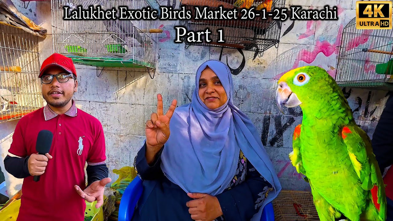 Lalukhet Unique and Rare Birds Market 26-1-25 Karachi Part 1 Latest ...