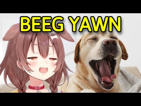 Korone Accidentally Exposed Her Weird Yawning Habit on Stream [Hololive ...