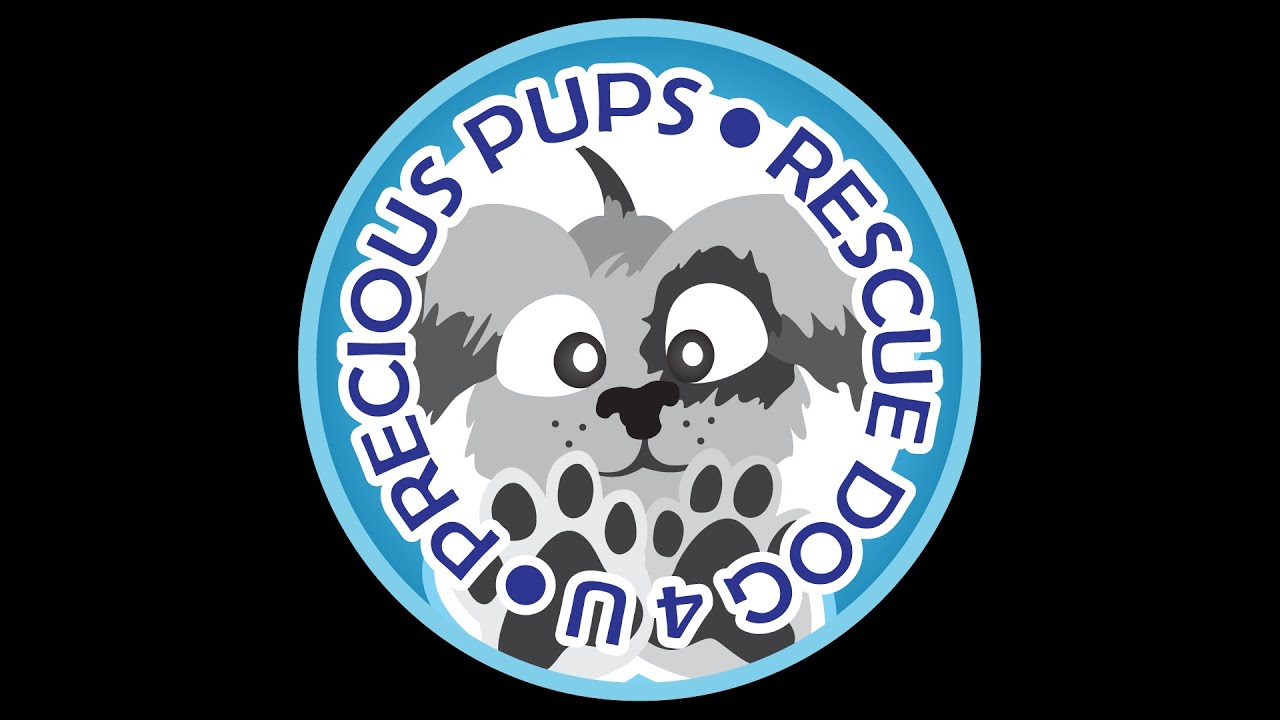 Precious pups owners group january updates from UK - YouTube