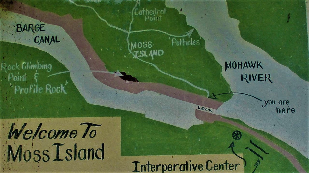 Blueberry Update | Moss Island | Erie Canalway Trail July 5, 2023 - YouTube