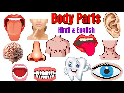 Learn Parts of Body for Kids | Sharir ke Angon ke Naam | Educational ...