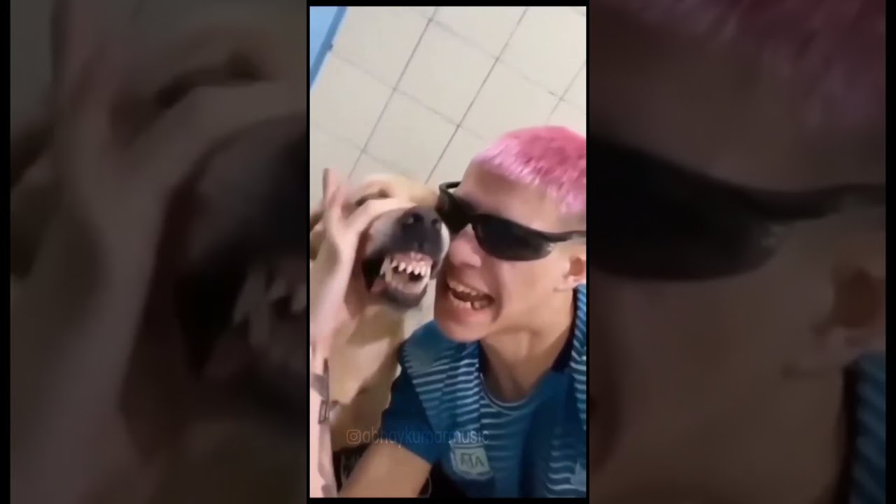 Doggy Metal feat. ESCOBEDITTO - ROCKY - YouTube