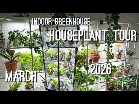 Cozy Indoor Houseplant Tour | Plant Collection, Setups, Updates + Mini Greenhouse