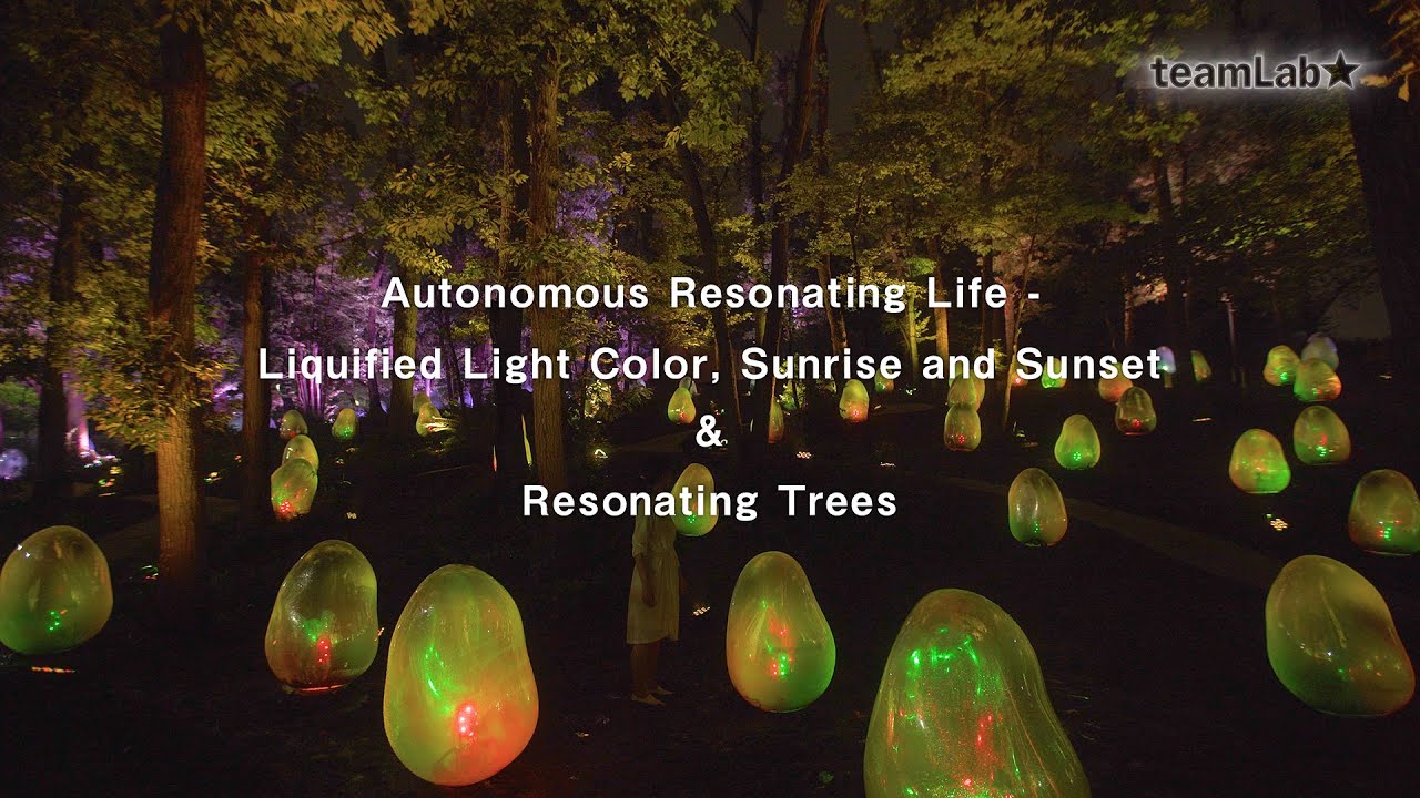 Autonomous Resonating Life - Liquified Light Color, Sunrise and Sunset ...