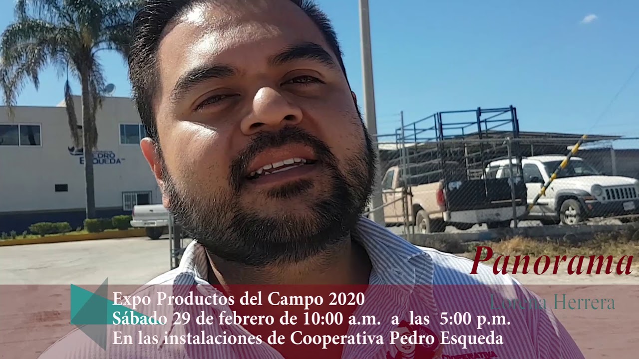 COOPERATIVA PEDRO ESQUEDA, PREPARTIVOS PARA LA EXPO, PANORAMA CON ...