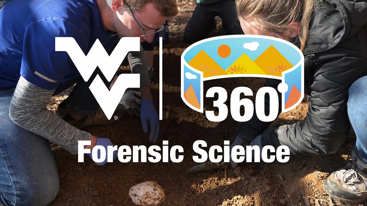 Forensic Science Excavation 360 | PATHWAYS - YouTube