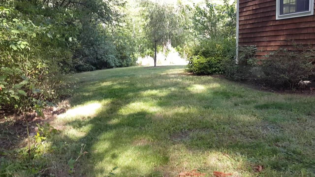 2 month cut - YouTube