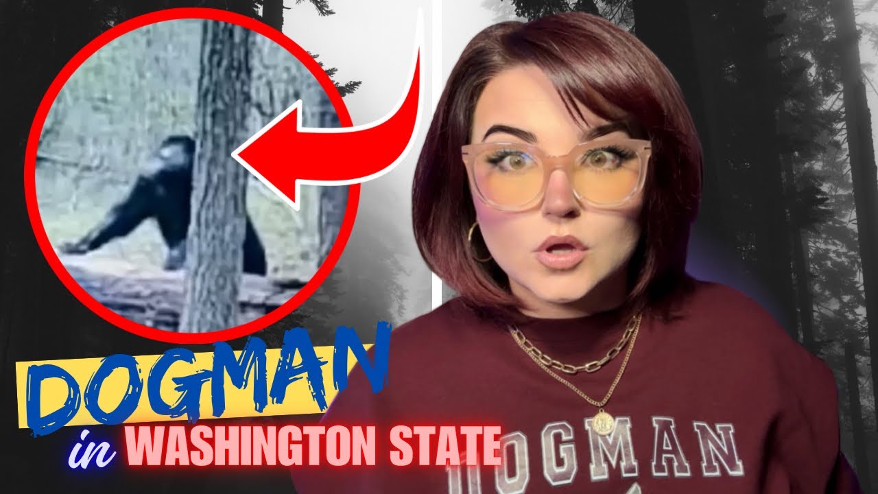 5 DOGMAN Sightings from WASHINGTON STATE That Will CHILL you Right Down ...