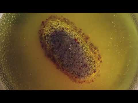 Disgregación y disolución - YouTube