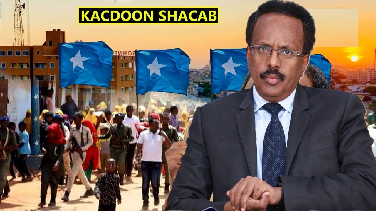 DAAWO; Dhalinyaro Xoog Ku Qabsan Rabto Dalka oo Farmaajo Taageero Ka ...