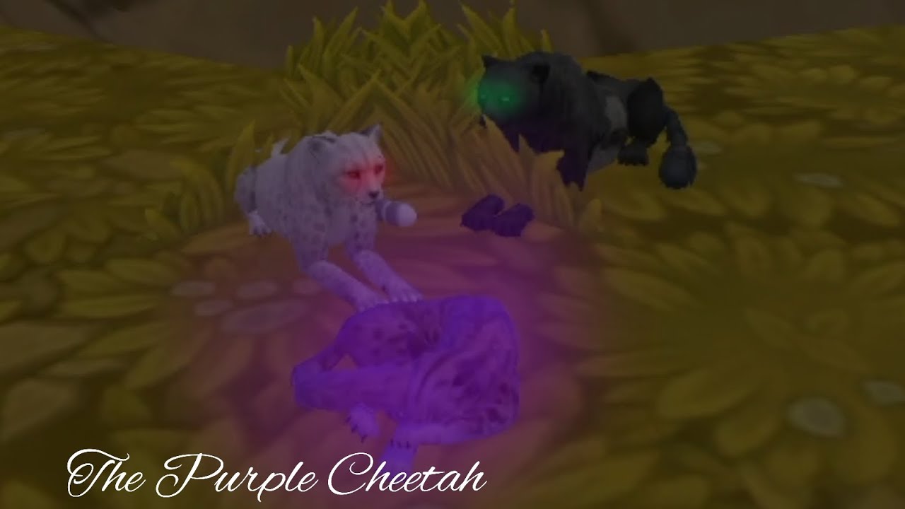 "The purple cheetah" | Wildcraft Story | Cheetah Story | Enjoy :) - YouTube