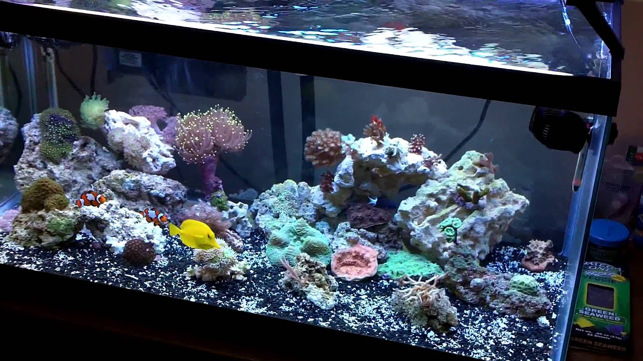 Project 40 - YouTube