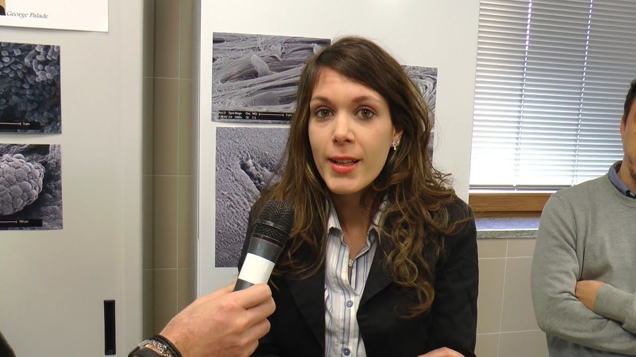 Alessandra Rizzardi, protettrice dei nostri dati - YouTube