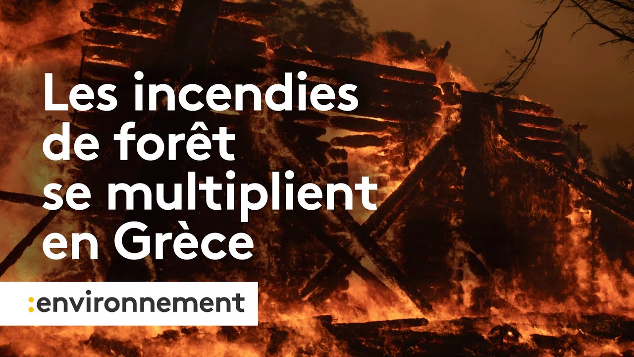Les incendies de forêt se multiplient en Grèce - YouTube