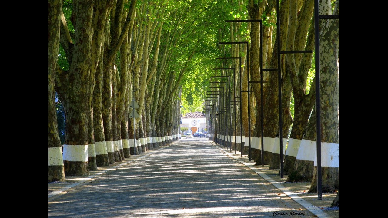 💖 Curia - Anadia - Portugal - YouTube