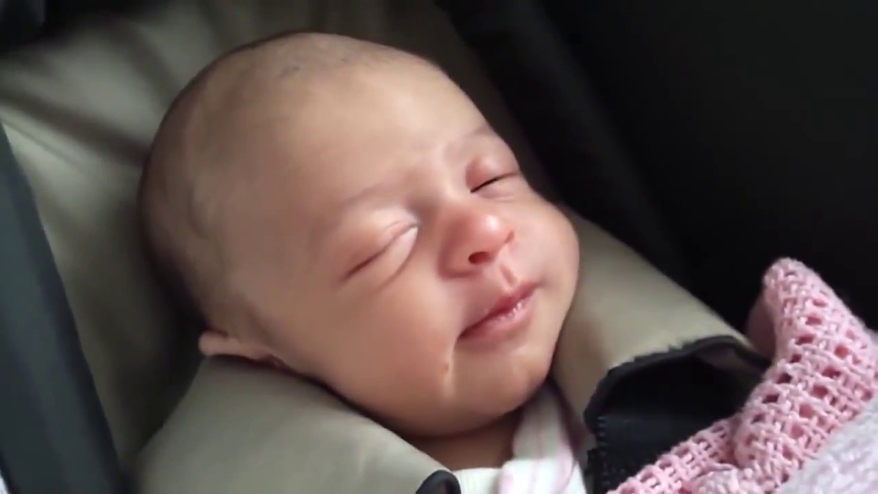 Dogs Meet Newborn Babies First Time Compilation - YouTube