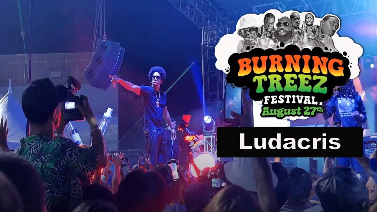 Ludacris Performing Live at Burning Treez Festival - YouTube