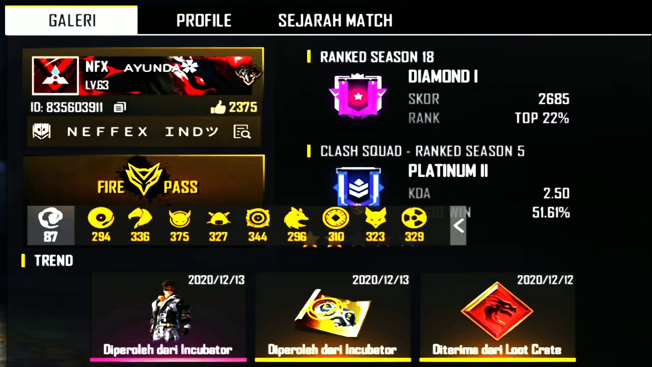 PROFIL AKUN FF - YouTube