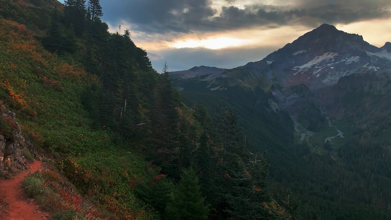 BITE-SIZED WILDS | LIKE A WATERCOLOR PAINTING IRL! @ Mount Hood ...
