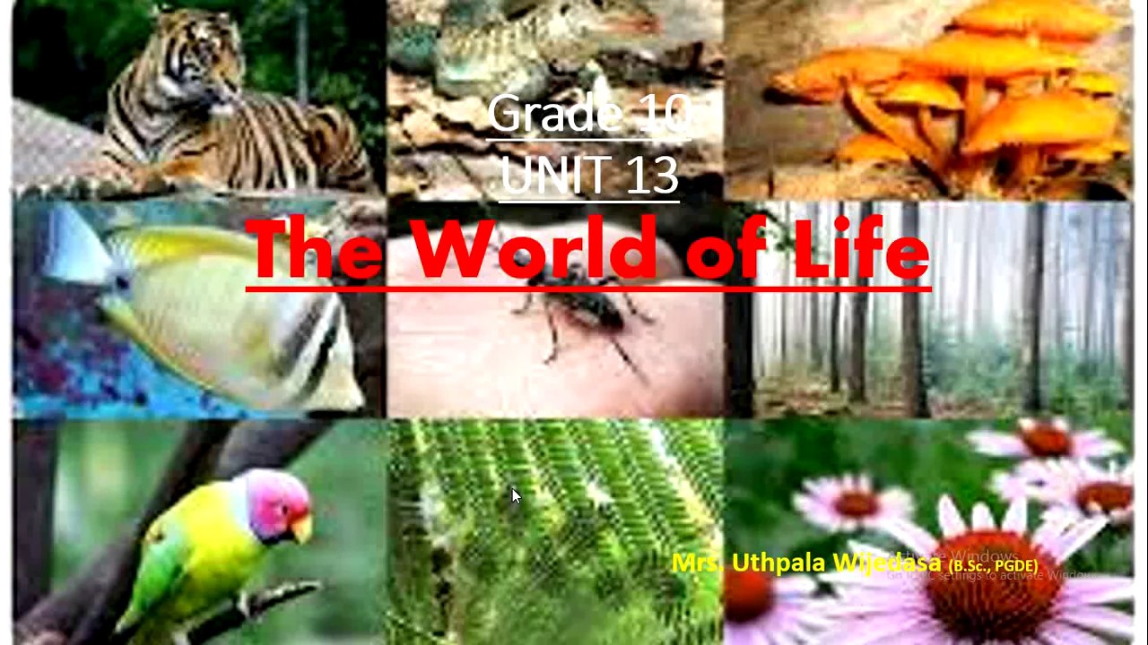 Grade 10 - Unit 13 - Part 1 - The World of Life - YouTube
