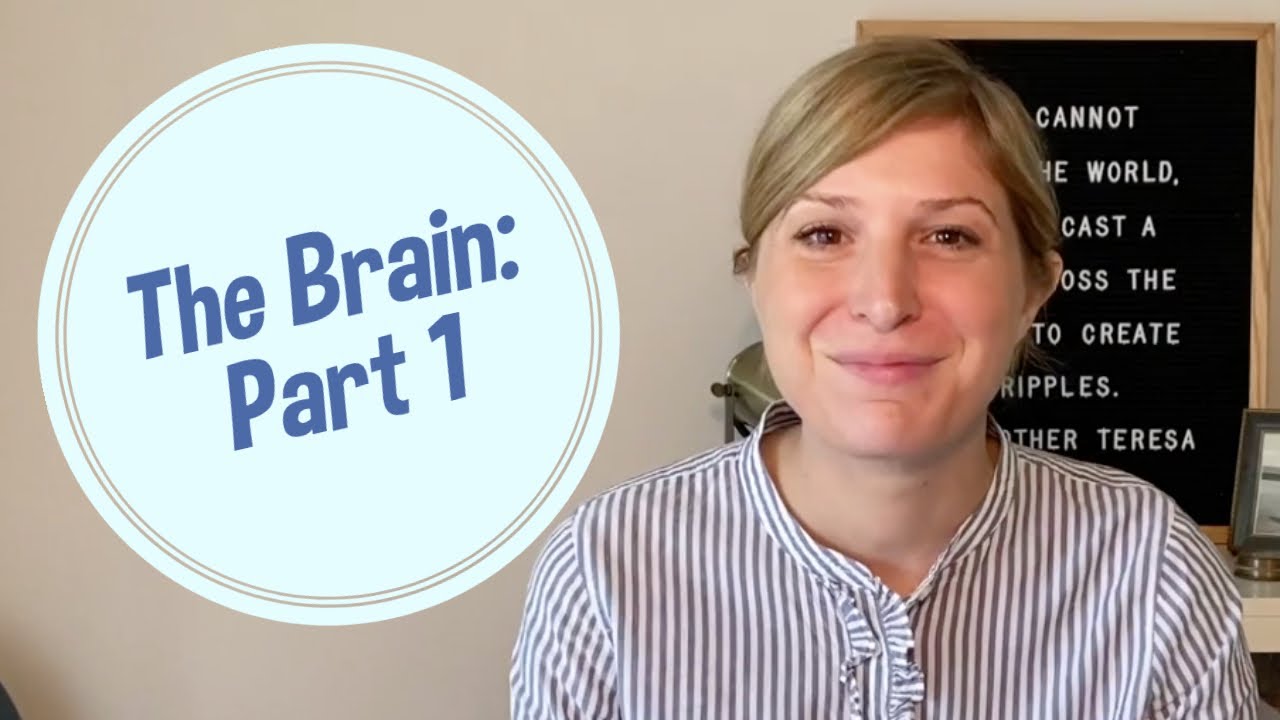 The Brain: Part 1: TBRI Parenting Tips - YouTube