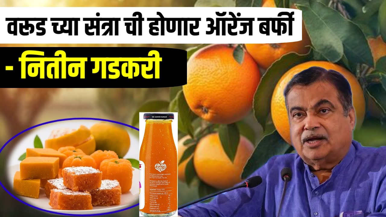 #warud | warud morshi orange l वरूड मोर्शीच्या संत्रा पासून तयार होणार ...