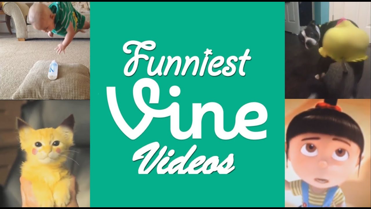 worlds funniest vine videos - YouTube
