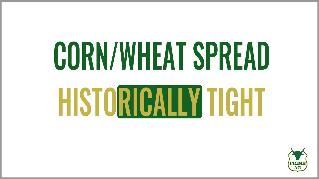Corn - Wheat Spread TIGHT. Is there value? - YouTube