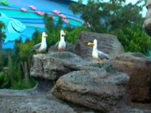 Finding Nemo "Mine Mine Mine" Birds - YouTube