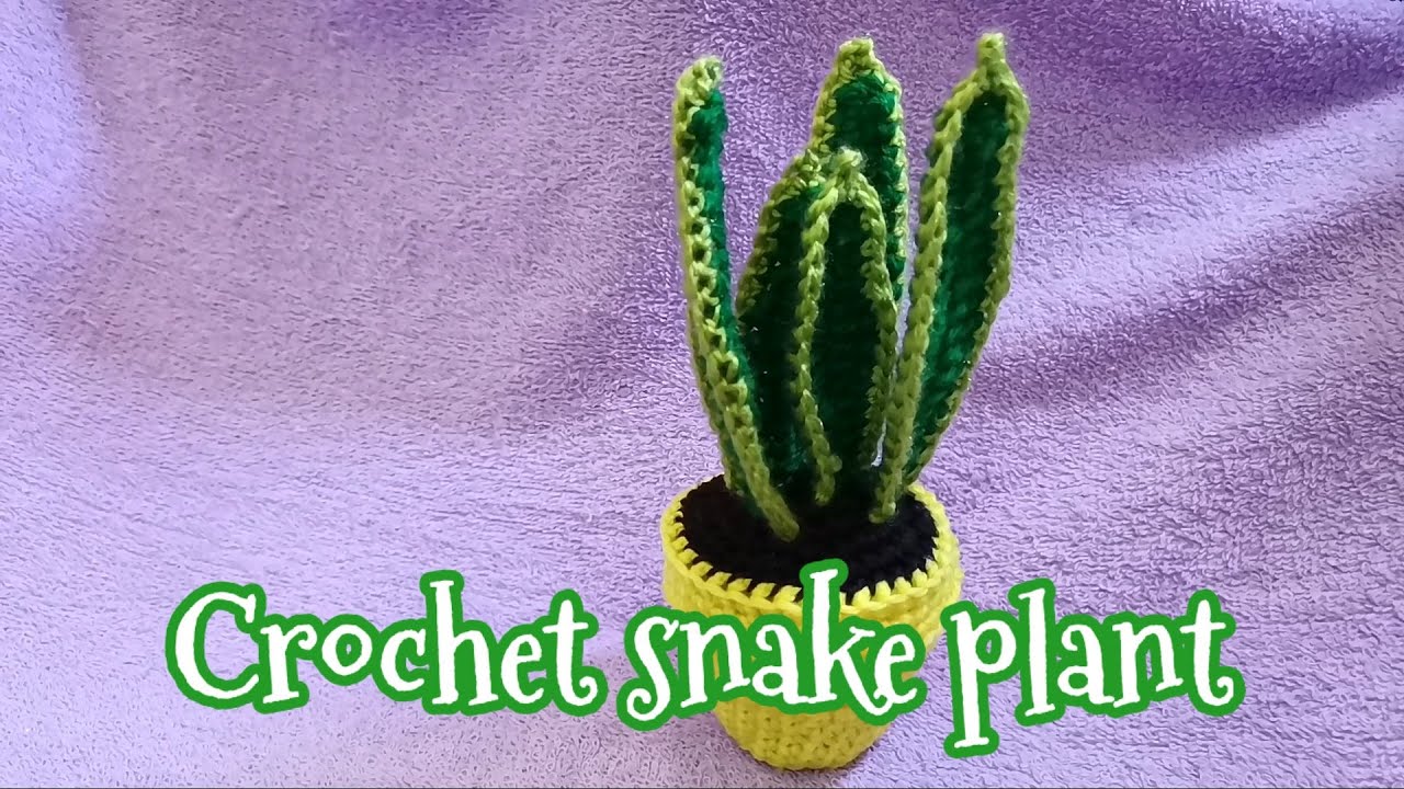 How to crochet a snake plant - YouTube