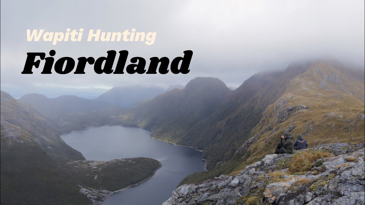 Wapiti Hunting Fiordland NZ - YouTube
