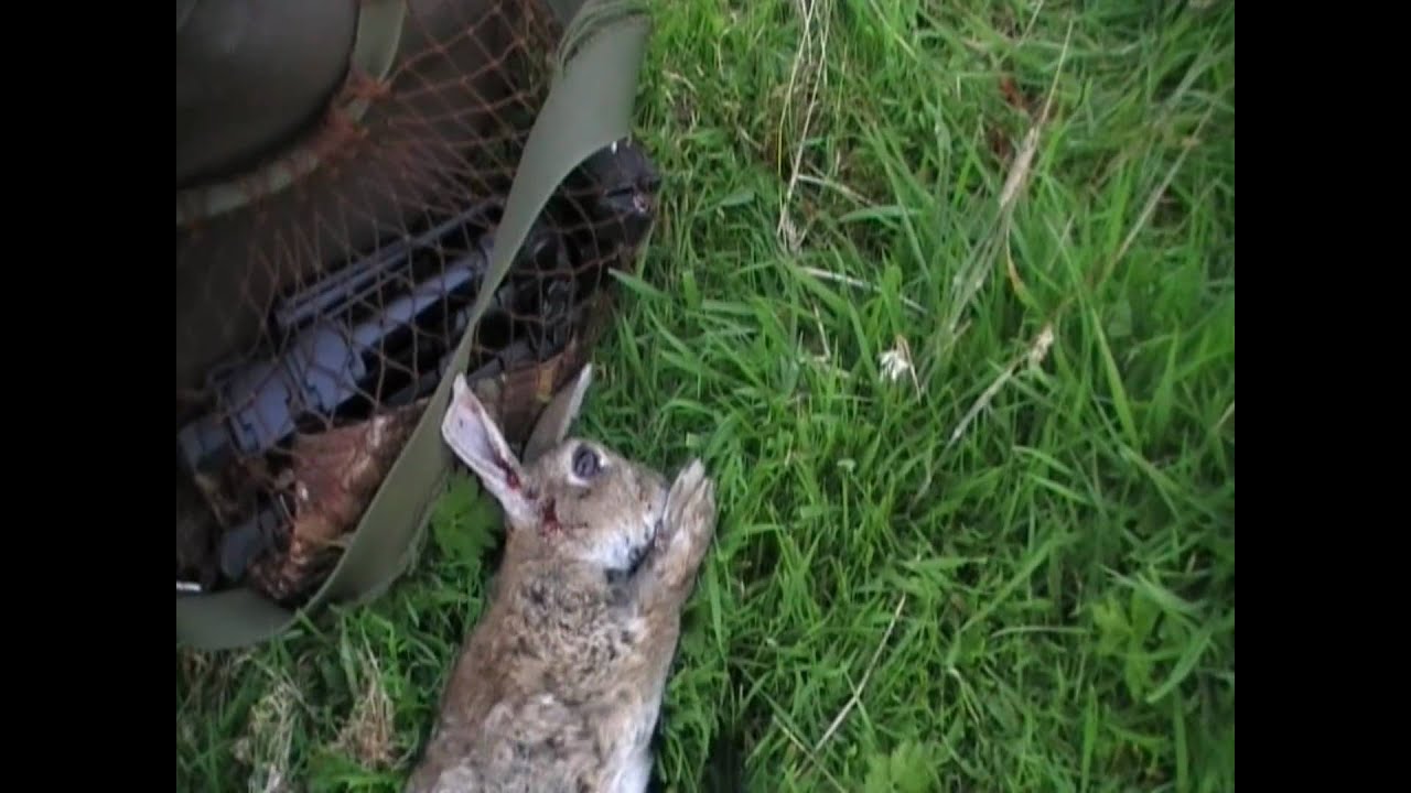 Air Rifle Hunting, Rabbit Hunt 8, 24 july, 2010 - YouTube