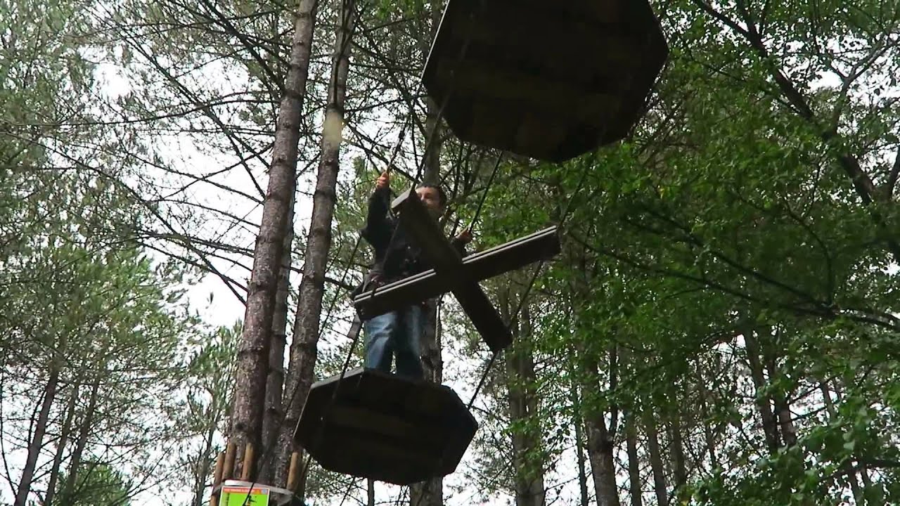 Go Ape Tree Top Junior Moors Valley - YouTube