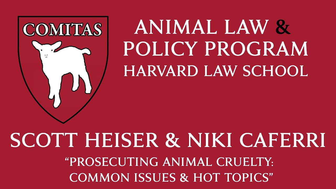 2/19/16 – Scott Heiser & Niki Caferri "Prosecuting Animal Abuse: Common ...