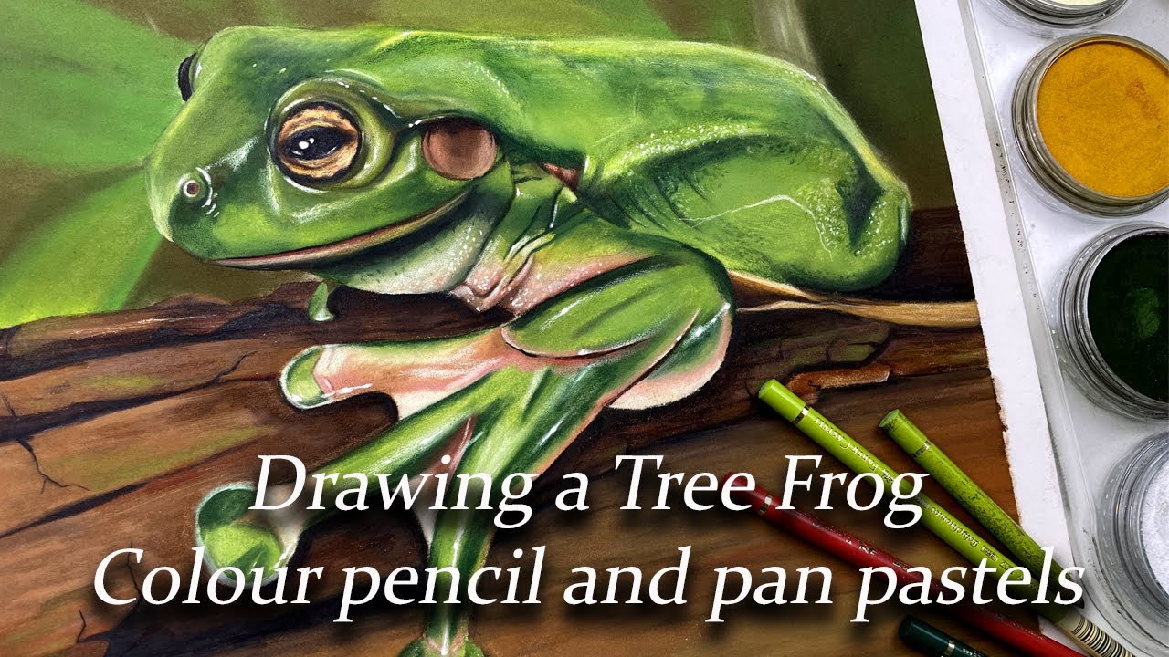 Drawing a frog in color pencil and pan pastel - YouTube