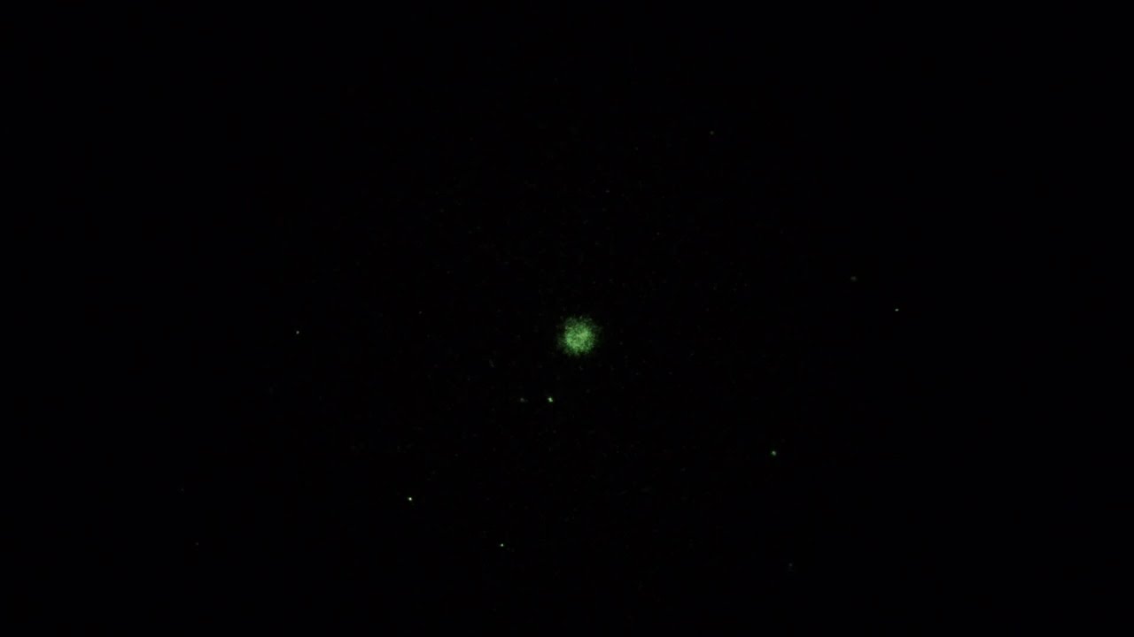 NGC 7662 Blue Snowball Nebula thru Image Intensifier in Real Time - YouTube