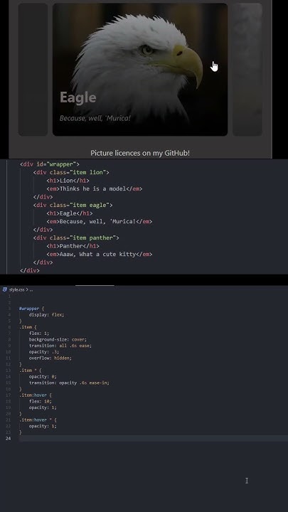Html Css Js Collapsing Gallery Programming Coding Javascript