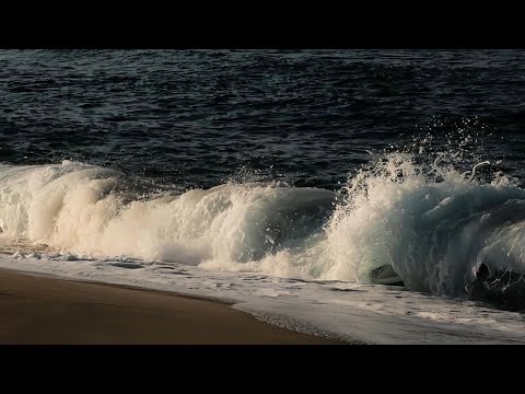 What does Wavy mean? What’s to come for the Wavy Express?! - YouTube