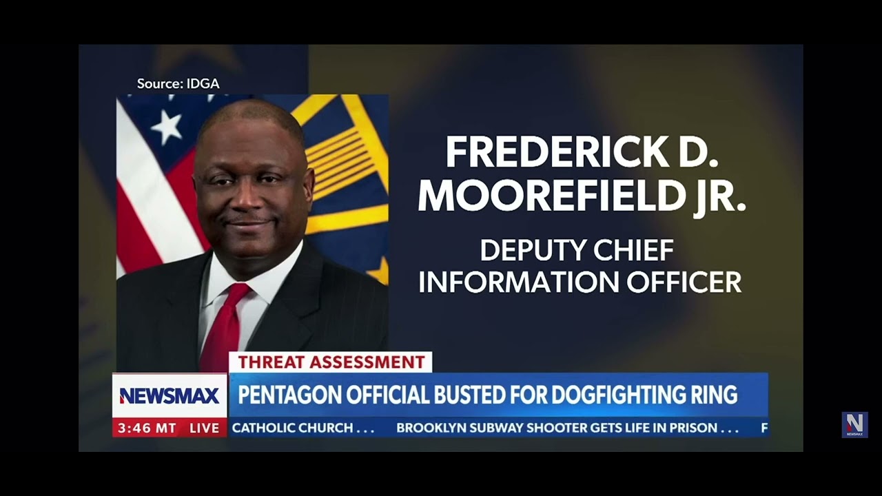 Department of Defense official charged with running dog fighting ring ...