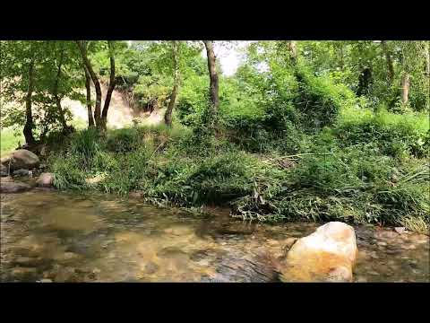 Rahatlaşdırıcı Su Səsləri - Təbiət, Çay, Meşə.. Quşların Oxuması Mühit - Meditasiya Yuxu Musiqisi