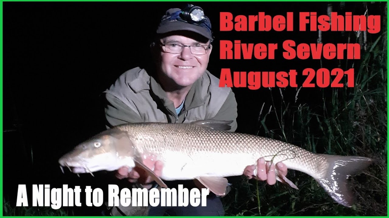 River Severn Fishing for Barbel August 2021 🎣 - YouTube