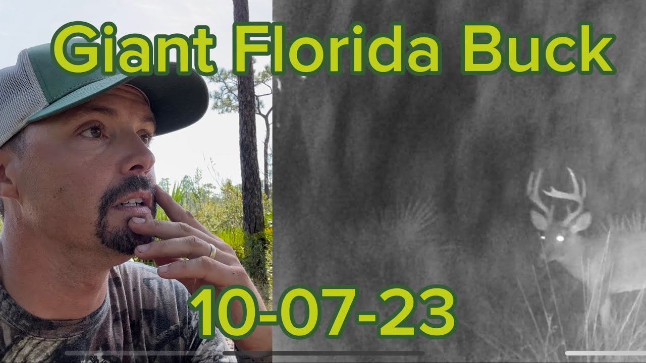 Florida Public Land hunt 10-07-23. Giant Florida Buck On Camera. # ...