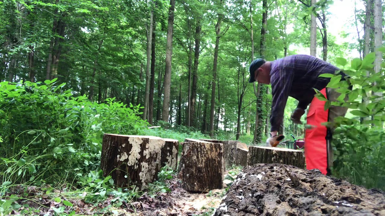 Hand splitting ash - YouTube