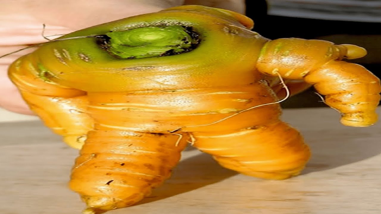 The Stream With Low Resolution - YouTube