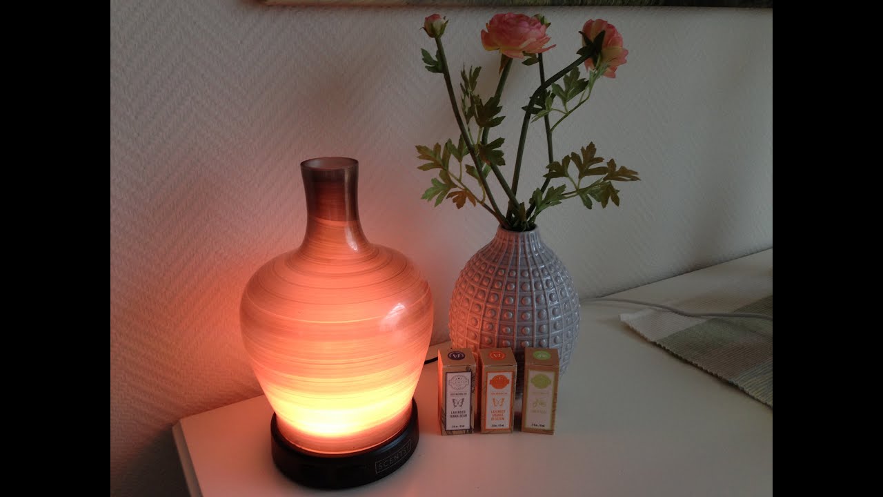 Scentsy Evolve Diffuser Review - YouTube